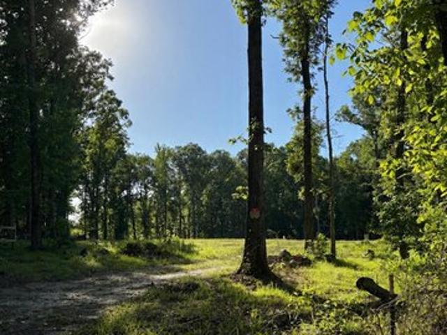 229 Barnes Rd, Florence, MS 39073