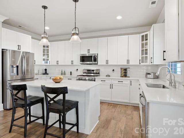 229 Elysian Drive