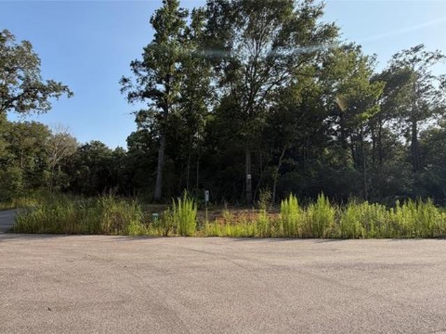 229 Kings Ct, Dayton, TX 77535