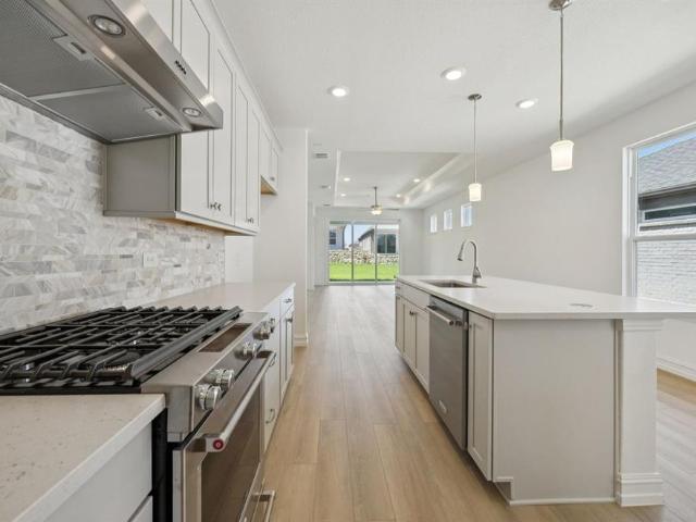 229 Snowbird Way