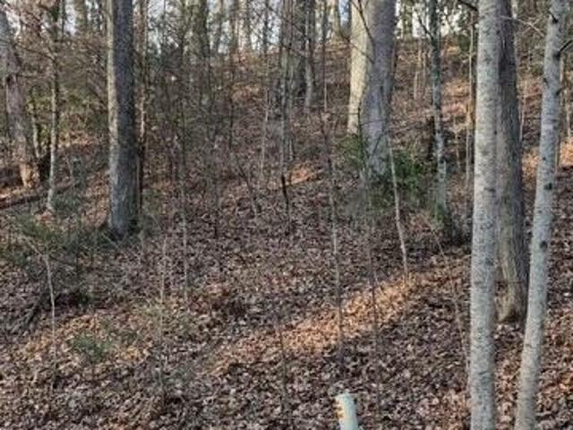 229 Sonshine Ridge Rd