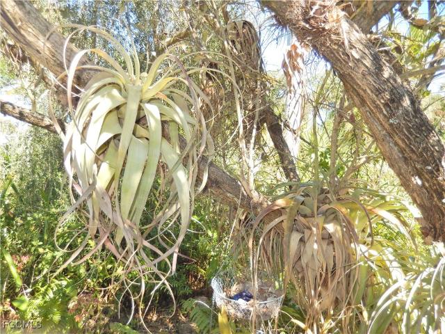 229 SE 46th Ln, Cape Coral, FL 33904 | MLS #2026005