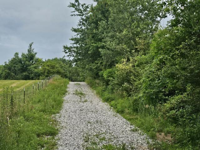 229 Windstone Drive