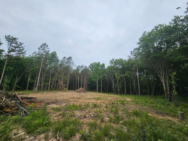 229 Windstone Drive