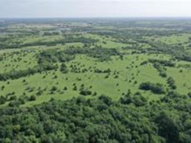 22.494 County Road 703, Farmersville, TX 75442 | MLS #20846