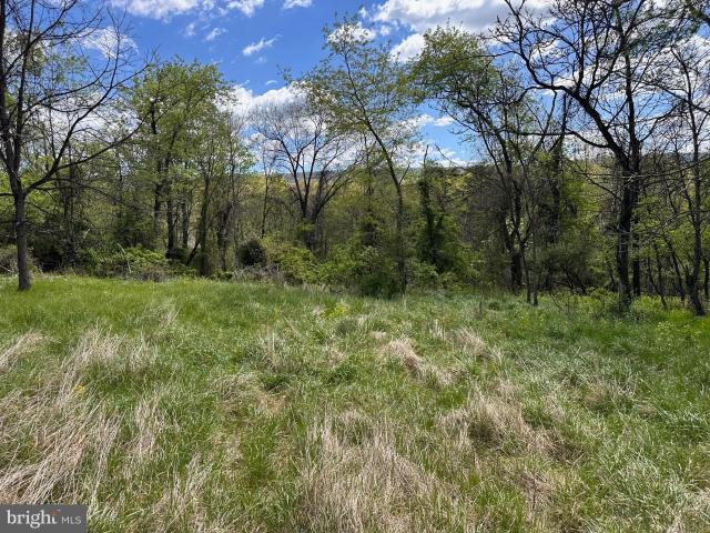 22.52 ac Winchester Grade Rd, Berkeley Springs, WV 25411 | MLS #WVMO2007