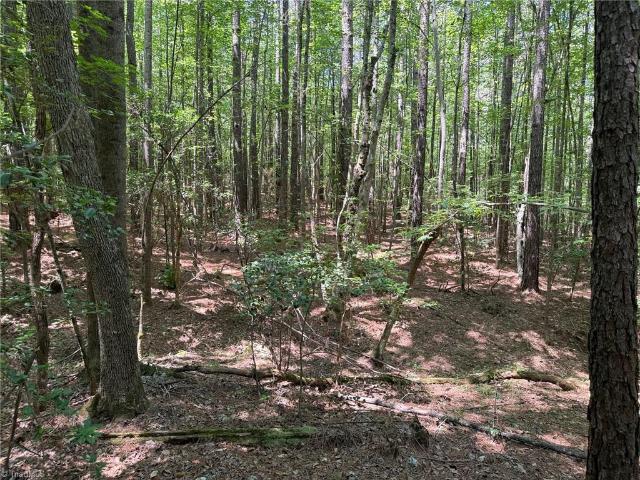 22.57 acres Woods Road