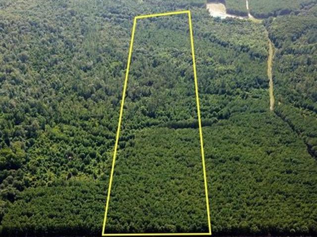 22.656 Acres Tract 13 Mt Zion Rd, Cottonwood, AL 36320