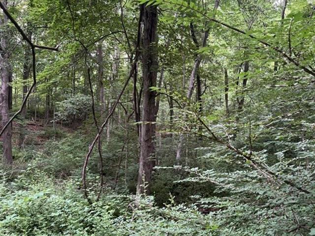 22 1/2 Country Ridge Rd, Danbury, CT 06811 | MLS #24184