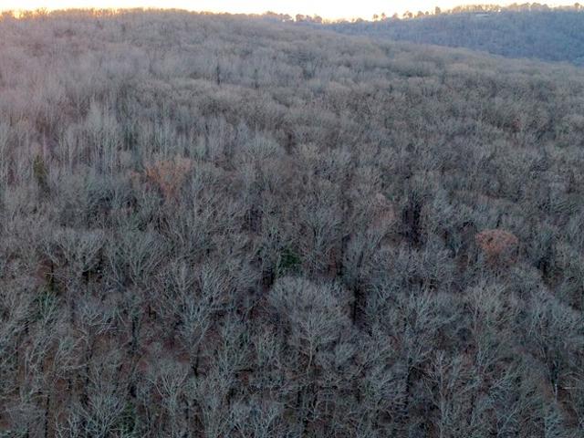 22.37 +/ acres Price Road