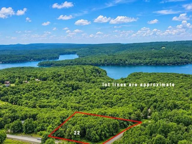22 Woodlands Hill Ln, Oakland, MD 21550