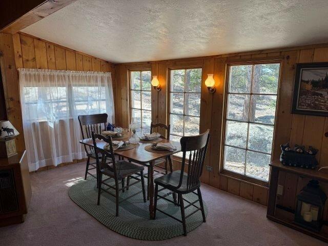 22 Yellow Wolf Way, Red Feather Lakes, USA, CO