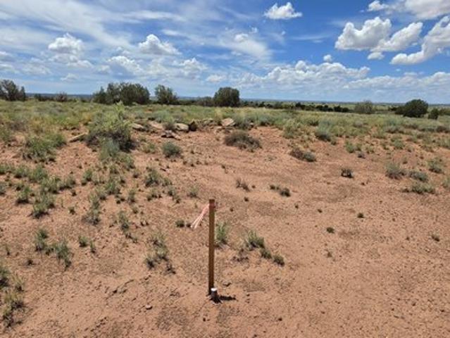 22 Ac, Snowflake, AZ 85937