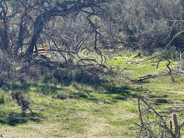 22 acres Tierra Del Sol Rd, Boulevard, CA 91905 | MLS #PTP2600 | Compass