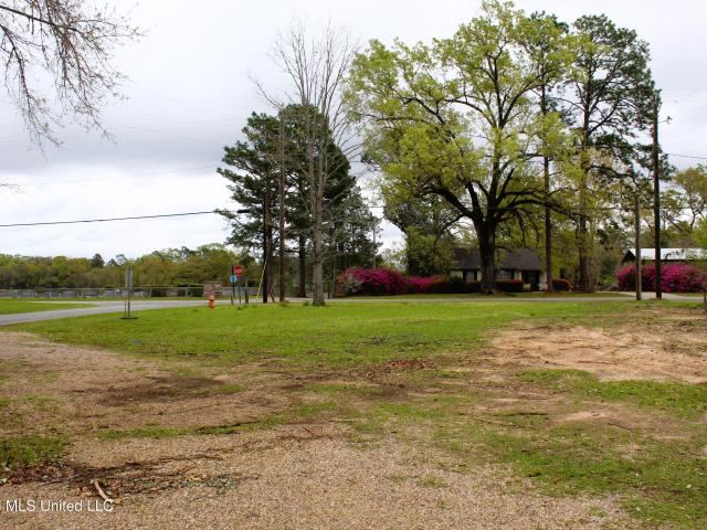 22 acres Mill St, Lucedale, MS 39452 | MLS #4142 | Compass