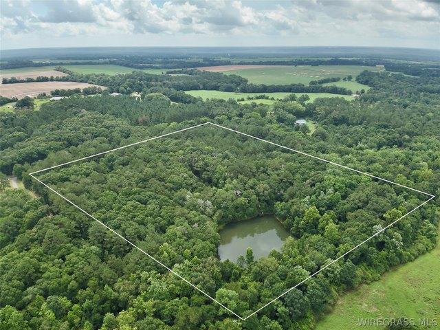 22 Acres Private Road 1702, Daleville, AL 36322