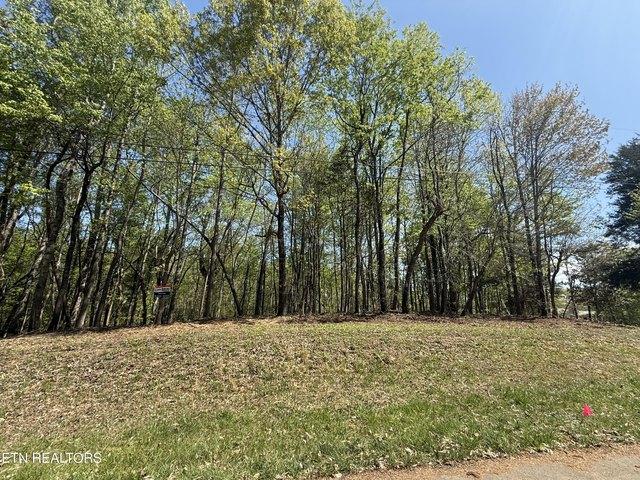 22 and 23 Phillips Dr, Rockwood, TN 37854