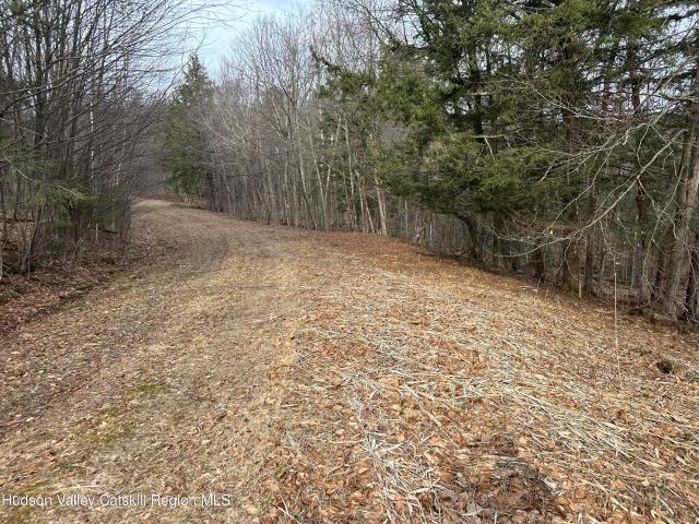 22 Beech Way, Stephentown, NY 12168 | MLS #20260 | Compass