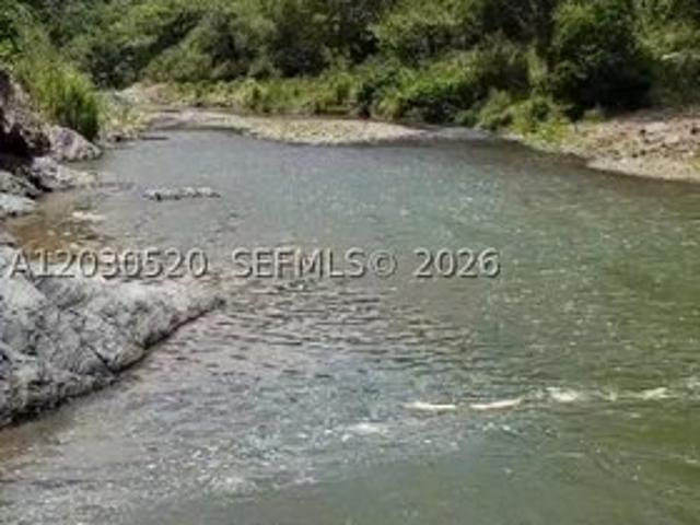 22, Bo Vaga, FL 00687