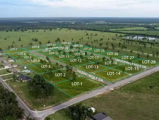 22 Buffalo Run Dr, Lake Charles, LA 70611 MLS# SWL24003002