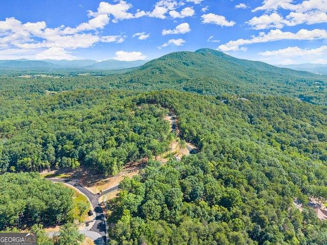 22 Chimney Oaks Trl, Cleveland, GA 30528