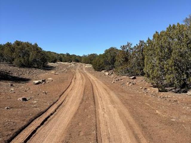 22 County Road 3048, Concho, AZ 85924