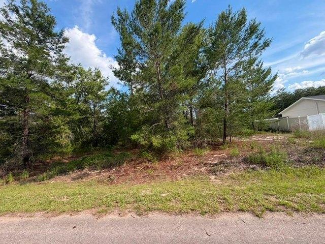 22 Fisher Run Ln, Ocklawaha, FL 32179