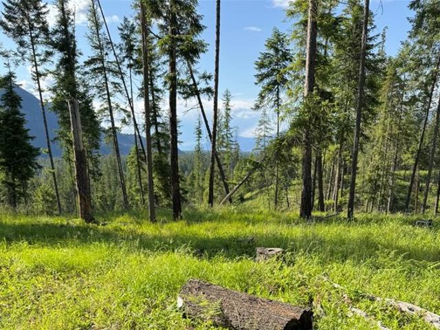 22 Flat Iron Way, Thompson Falls, MT 59873
