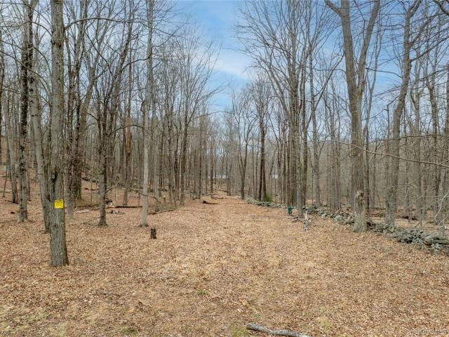 22 Joshua Hobby Ln, Pound Ridge, NY 10576 | MLS #846446