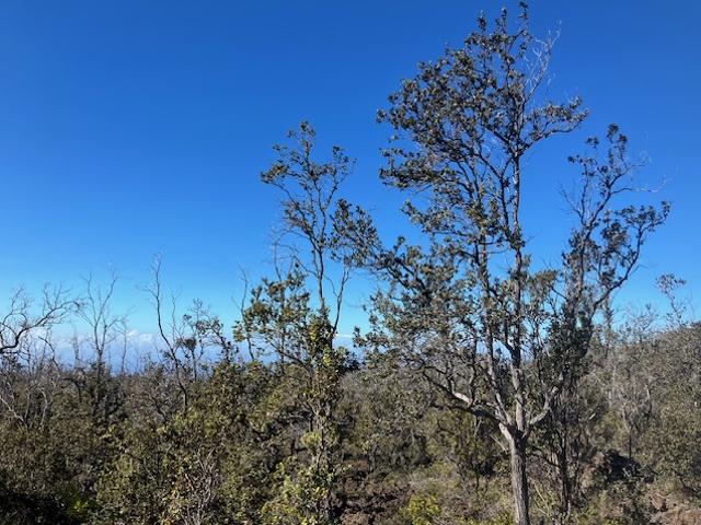 22 Koa Ln, Ocean View, HI 96704 | MLS #726539 | Compass