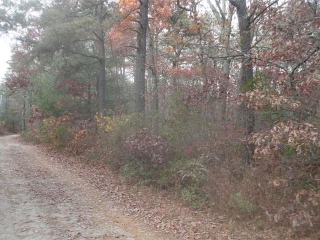 22 Lewis Trail