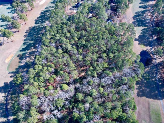 22 Lots Goelet Ct