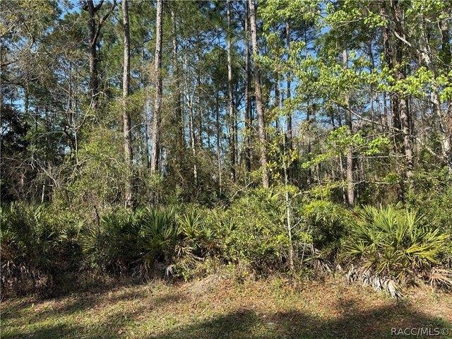 22 Mangrove Ct N, Homosassa, FL 34446