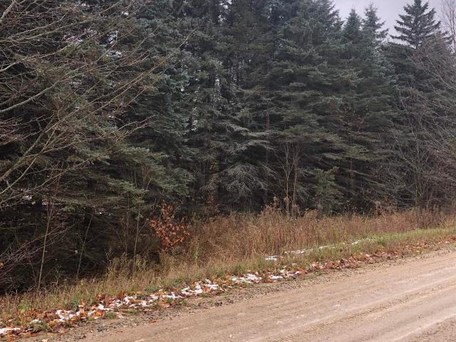 22 Mile Road