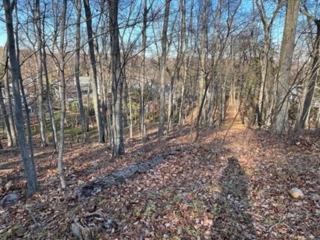 22 Mountain Rd