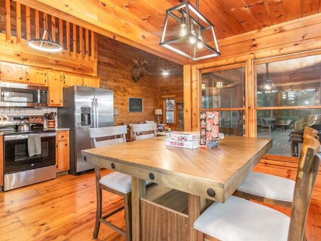 22 N Candice Ct, Blue Ridge, GA 30513 | MLS #429440