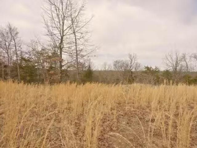 22 OAKRIDGE DR, GEPP, AR 72538 Vacant Land For Sale MLS# 6028.