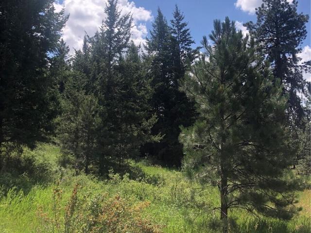 22 Pine Chee Rd