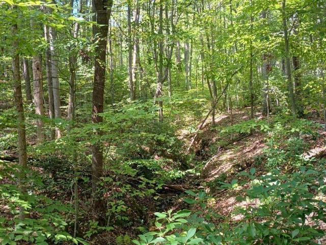 22 piney mountain ln