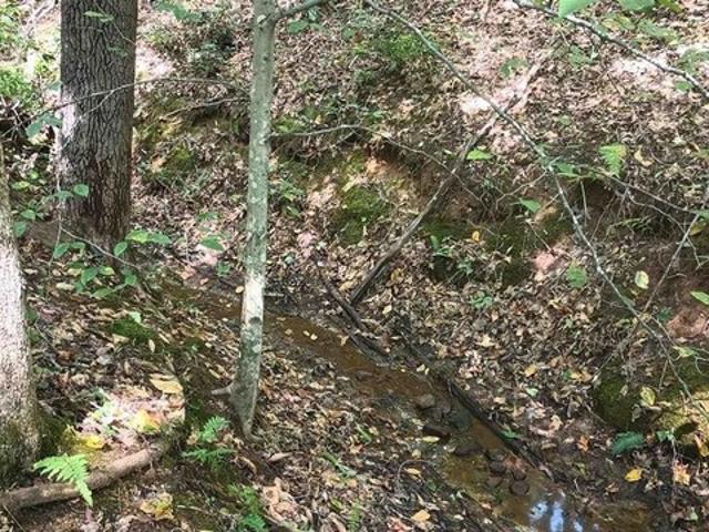 22 Piney Mountain Ln Lot 22, Shipman, VA 22971