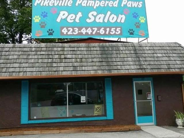 22 River View Ave, Pikeville, TN 37367