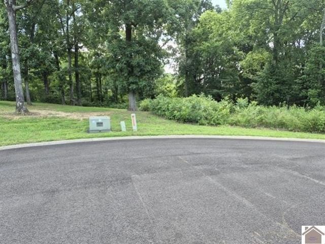 22 Robyn Ln, Benton, KY 42025