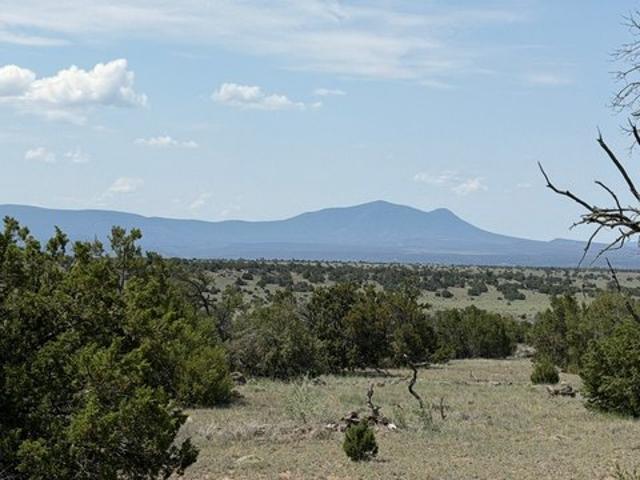 22 Running Bear Cir Unit 93, Quemado, NM 87829
