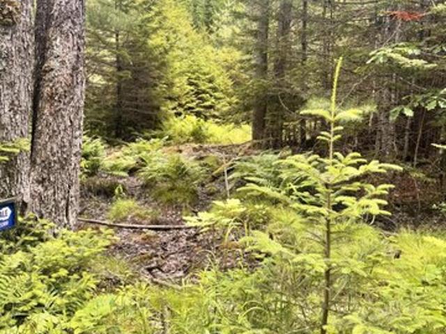 22A Pierces Pond Rd, Penobscot, ME 04476