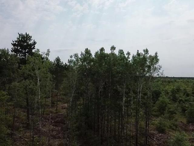 22XX Tomahawk Lake Rd, Barnes, WI 54873