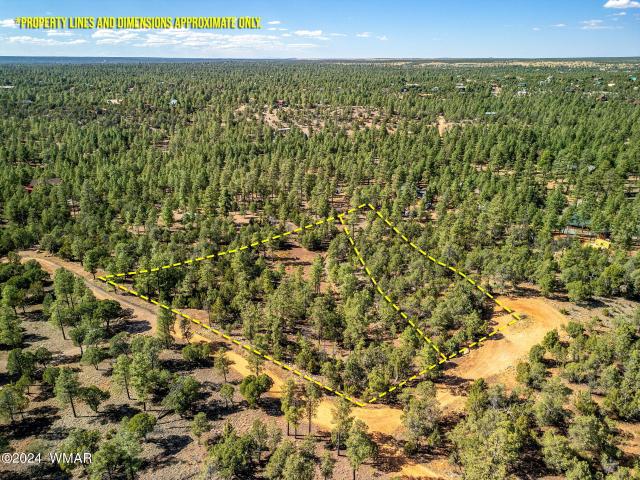 2306 Thunderbird Way, Overgaard, AZ 85933 | MLS #253163