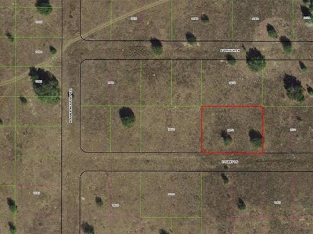 2307 E Tabby Ln, Inverness, FL 34453