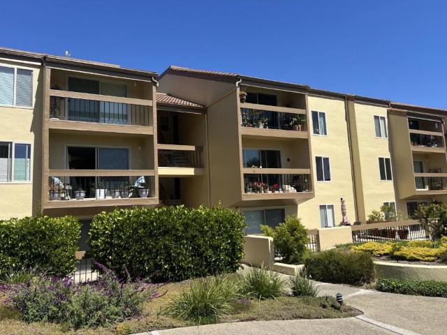 2308 Golden Oaks Lane