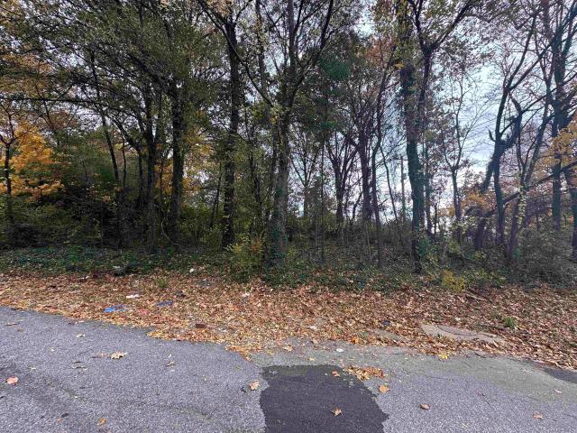 2308 ketchum rd