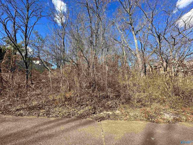 2308 Woodcliff Road